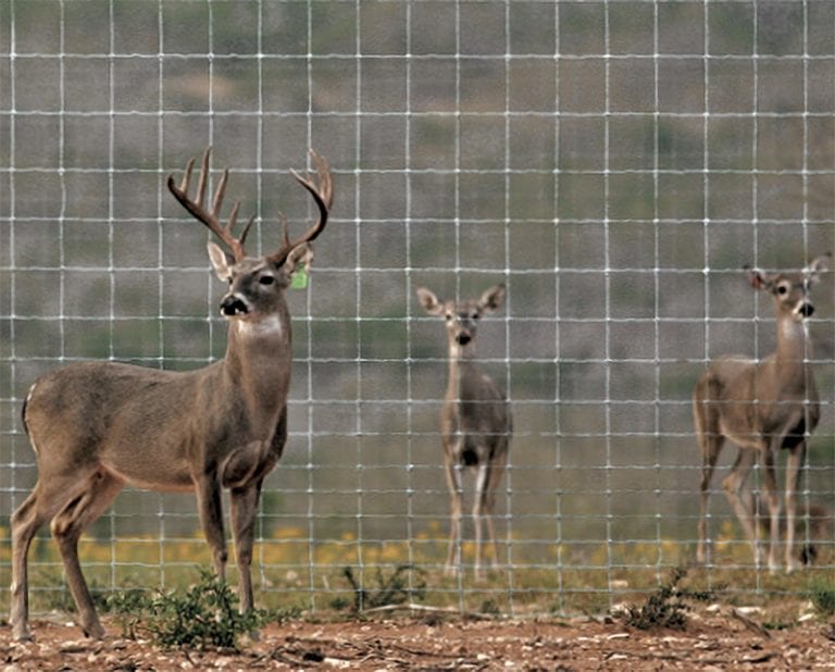 Deer & Wildlife Fence | Products | Fence All | Ottawa, ON